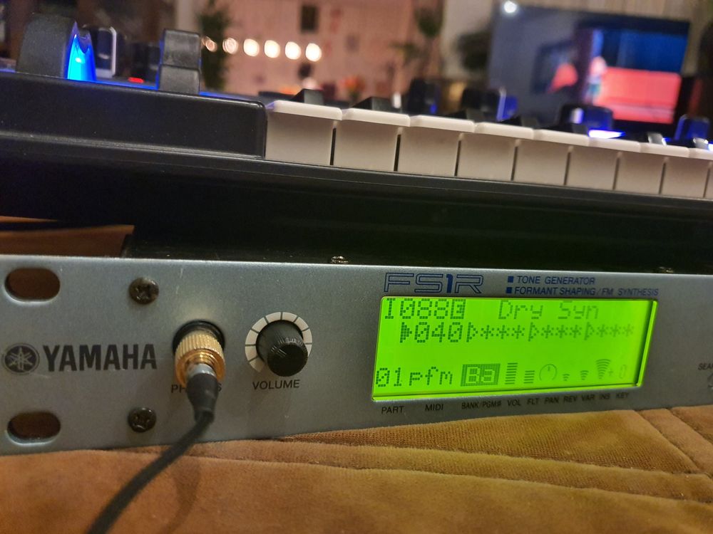 yamaha fs1r (Gebraucht) in Muri AG für CHF 1450 – mit Lieferung auf Ricardo kaufen