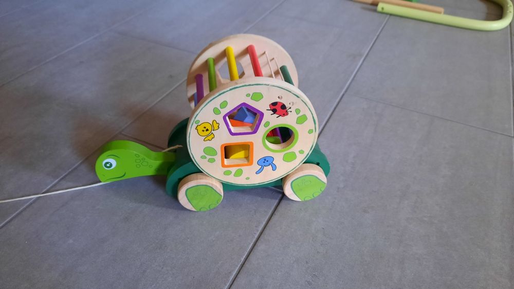 Elegantes Lidl Nachzieh Schildkrte Bilder