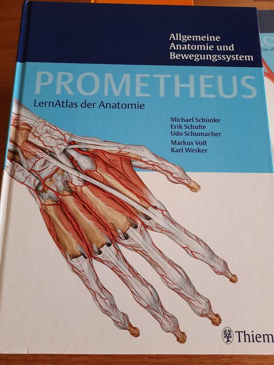 Prometheus - Allg.Anatomie und Bewegungssystem - Medizin (Gebraucht) in ...
