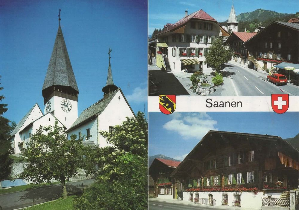 Saanen (Gebraucht) in Melano für CHF 1 – mit Lieferung auf Ricardo kaufen