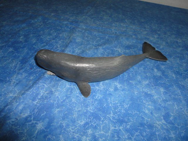 SCHLEICH POTTWAL 14764 | Kaufen auf Ricardo