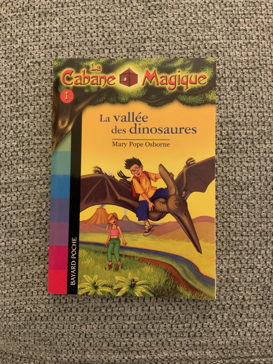 Livre La Cabane Magique 1 - La vallée des dinosaures | Kaufen auf Ricardo