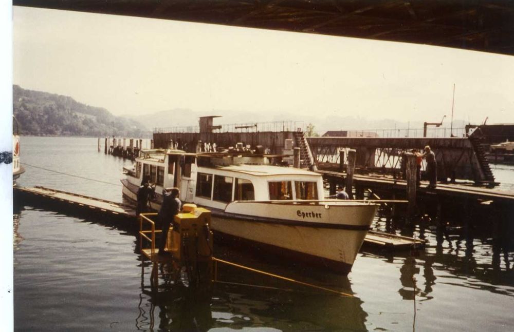 Farbfoto MS Sperber in SGV Werft, Schiff (Gebraucht) in Bonstetten für ...