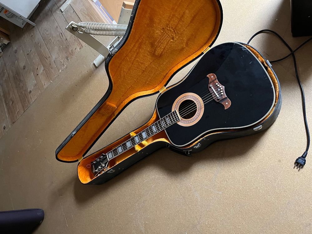 Ibanez Western Gitarre mit Koffer | Kaufen auf Ricardo