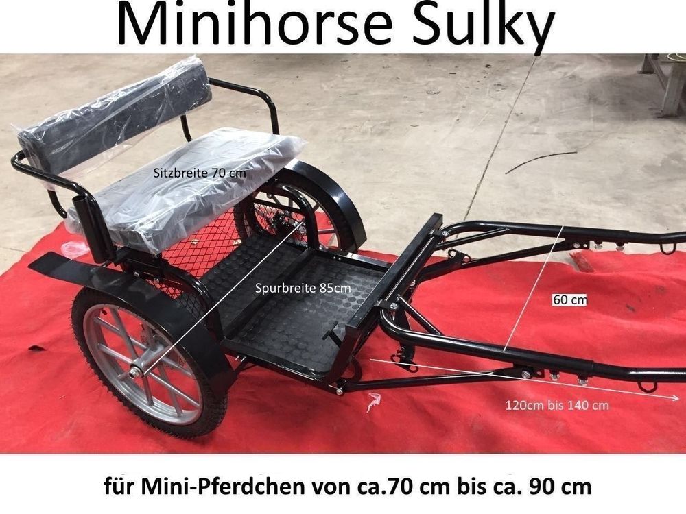 Sulky Kutsche Minishetty Minihorse | Kaufen auf Ricardo