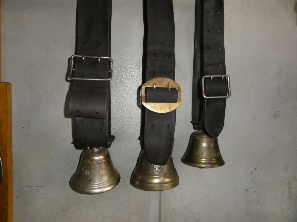 Weide - Glocken (Gebraucht) in Schänis für CHF 185 – mit Lieferung auf ...