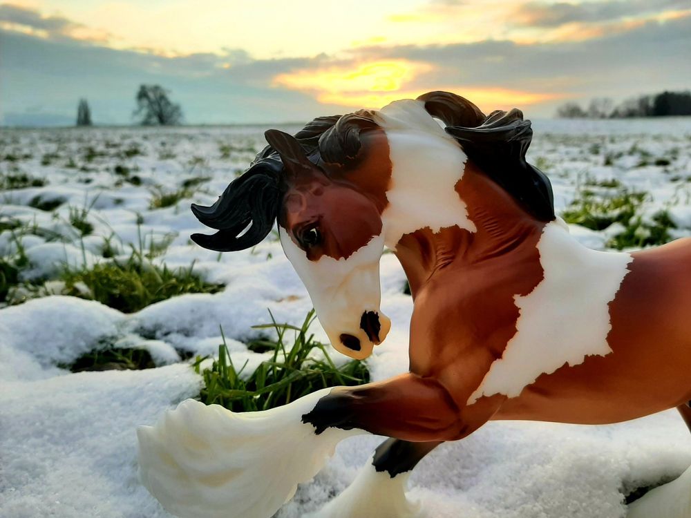 Breyer - Gypsy Vanner - Top Zustand (Neu (gemäss Beschreibung)) in ...