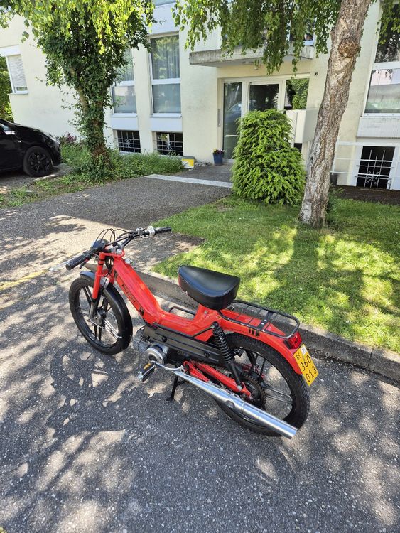 Puch Maxi S Original mit Ausweis (Gebraucht) in Sutz für CHF 1900 – nur Abholung auf Ricardo kaufen