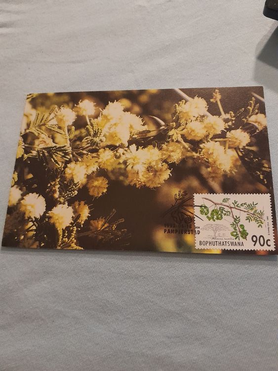 Carte Postale rare Bophuthatswana - Nature et Timbre! (D'occasion) à ...