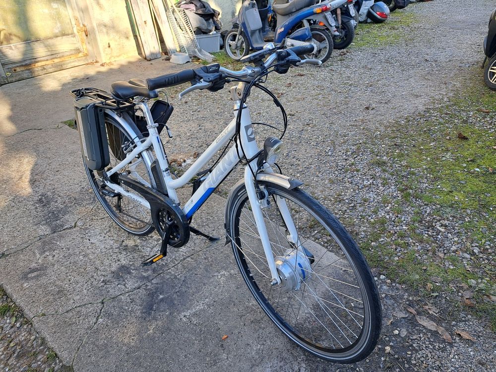 E-Bike Giant Twist Express RSW 25km/h Akku defekt Lieferung (Gebraucht ...