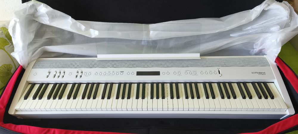 Roland FP 60 (Neu (gemäss Beschreibung)) in Salmsach für CHF 560 – nur ...