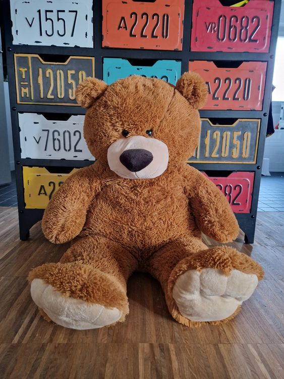 Riesen Teddybär (Gebraucht) in Meilen für CHF 7 – mit Lieferung auf ...