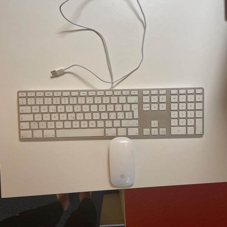Apple usb keyboard. Plus mouse( Bluetooth) (Gebraucht) in Trachslau für ...