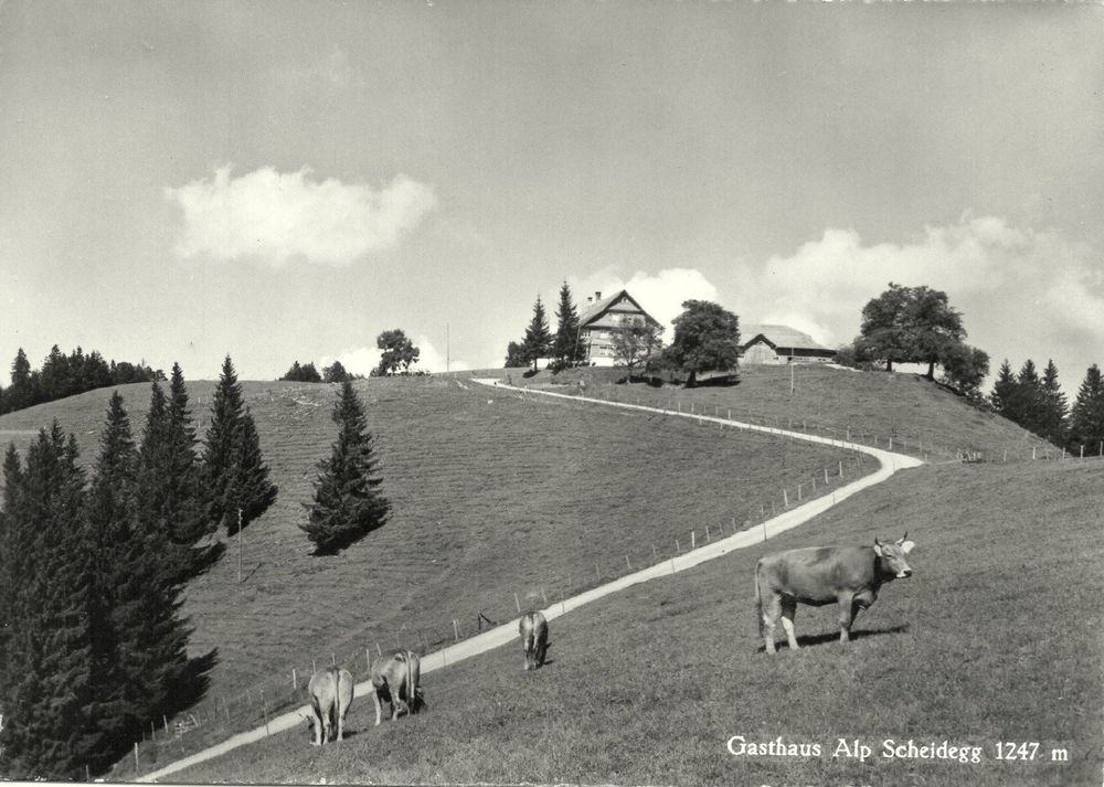 WALD ZH Alp Scheidegg - B. Schnyder -Kühe (Neu (gemäss Beschreibung)) in Jona für CHF 4.9 – mit ...