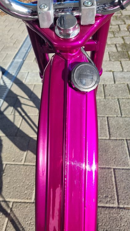 Puch Maxi S in Candy Purpur (Neu (gemäss Beschreibung)) in Weinfelden ...