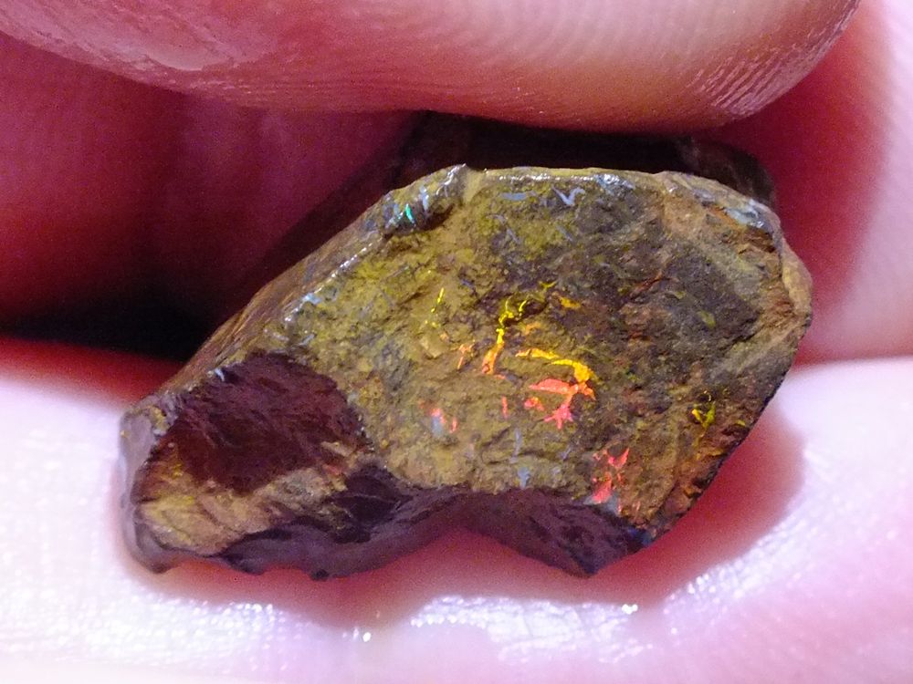 BOULDER ROH OPAL 19 Karat Gebot 1.- Elektrisch Rot feuer (Neu und ...