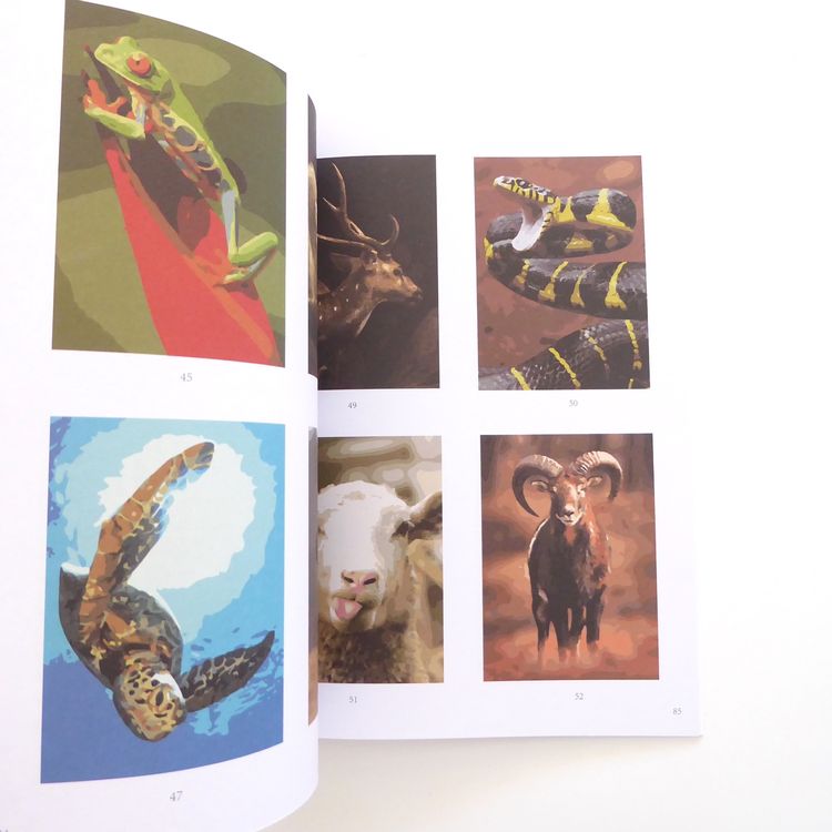 Malen nach Zahlen - 72 Blatt - A4 - Malbuch - Tiere | Kaufen auf Ricardo