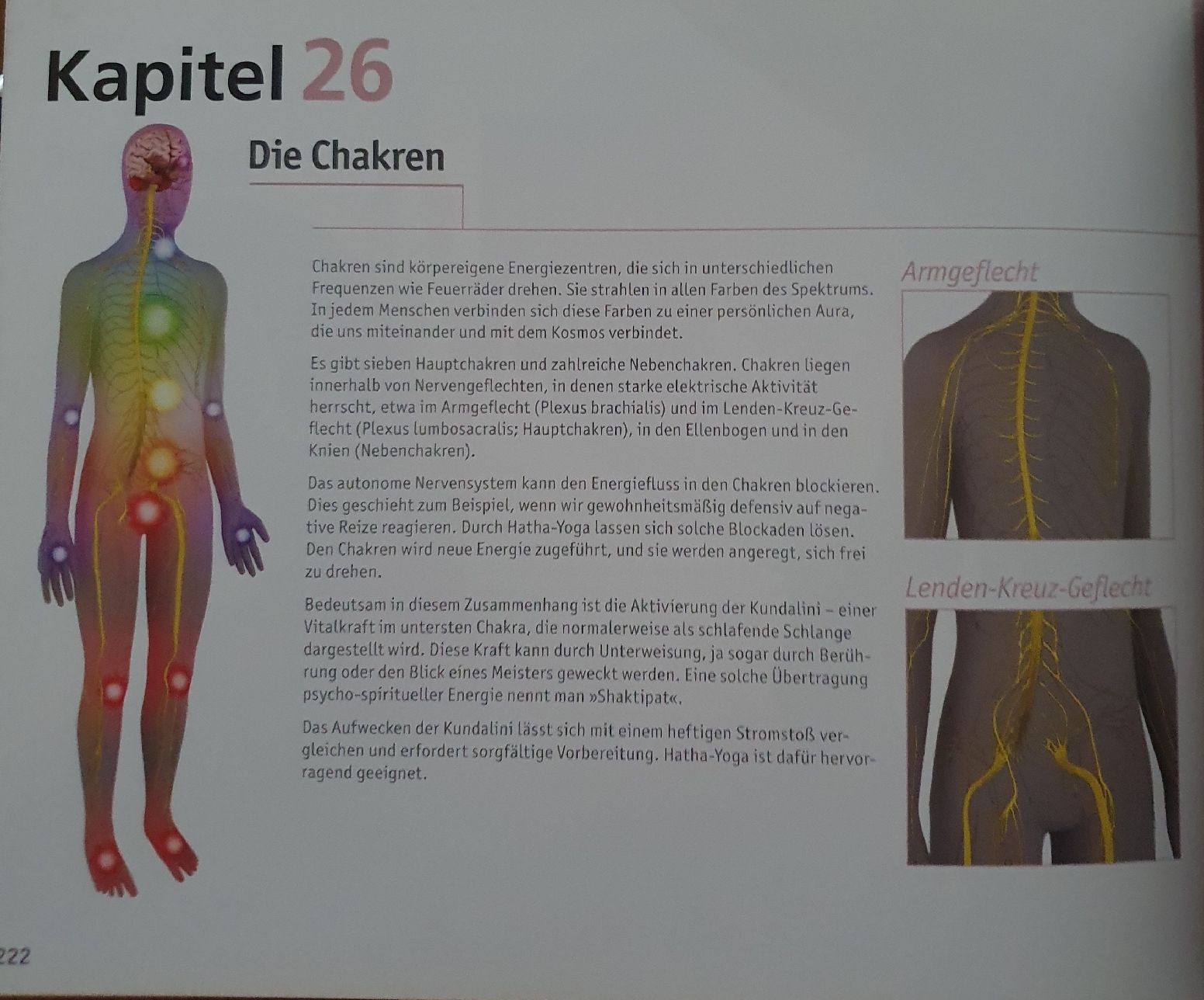 Yoga Anatomie 3D: Ray Long, Band 1, Top Zustand! (Neu (gemäss ...