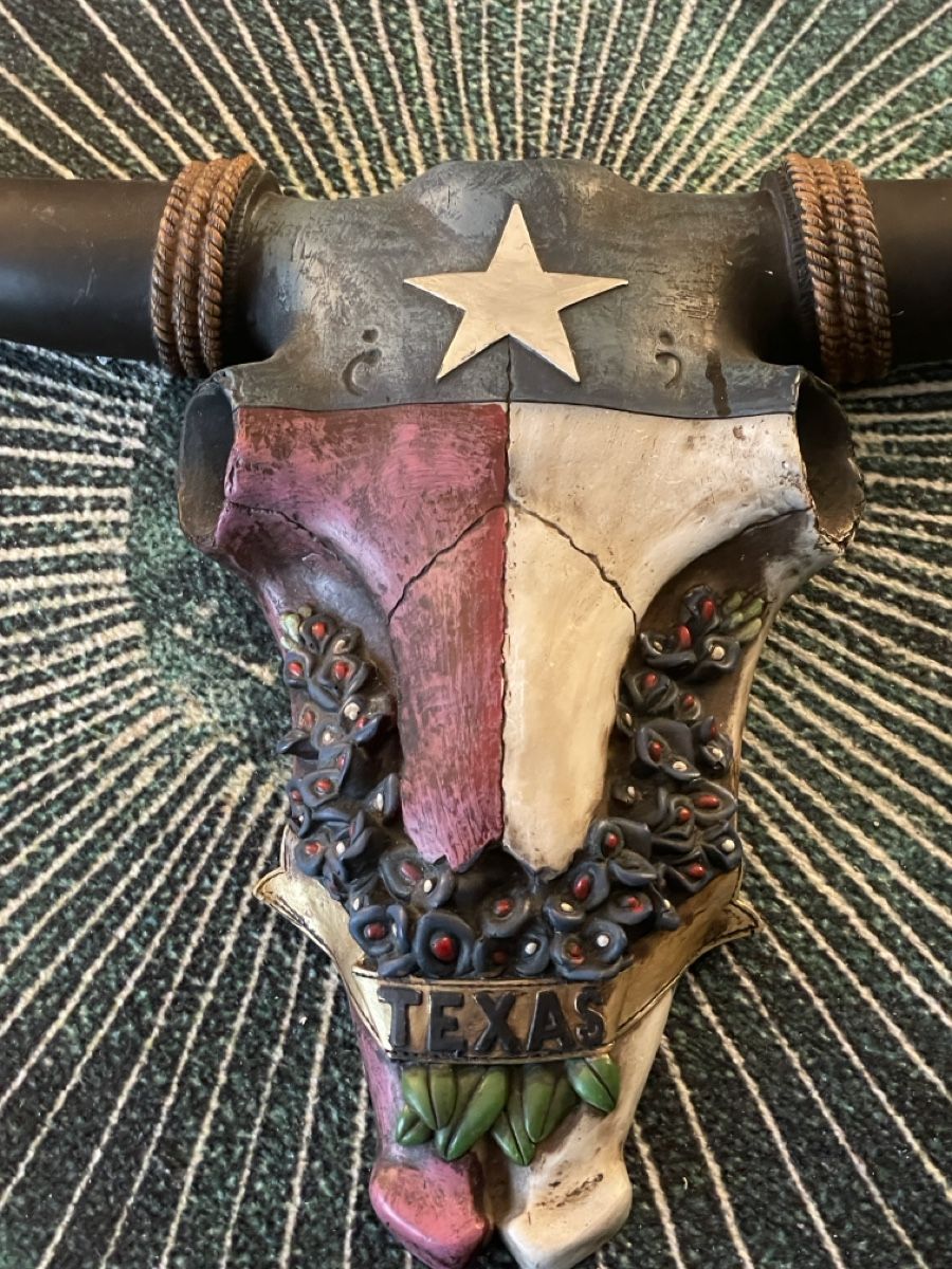 Texas Steer Skull Wall Decor - Southwestern Home Accent (Neu (gemäss ...