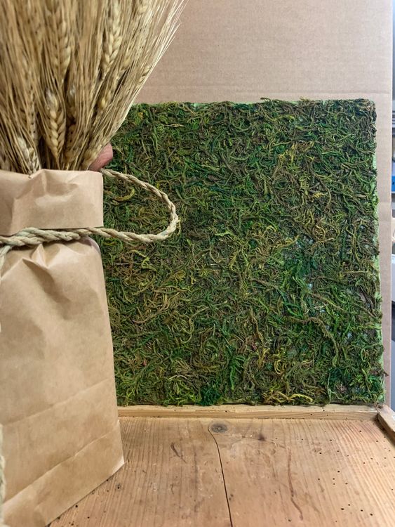 "Moosplatte" Dekomaterial | Kaufen auf Ricardo