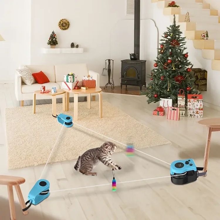 Pet Cat Chasing Toy (Neuf avec emballage d'origine) à Lausanne pour CHF ...