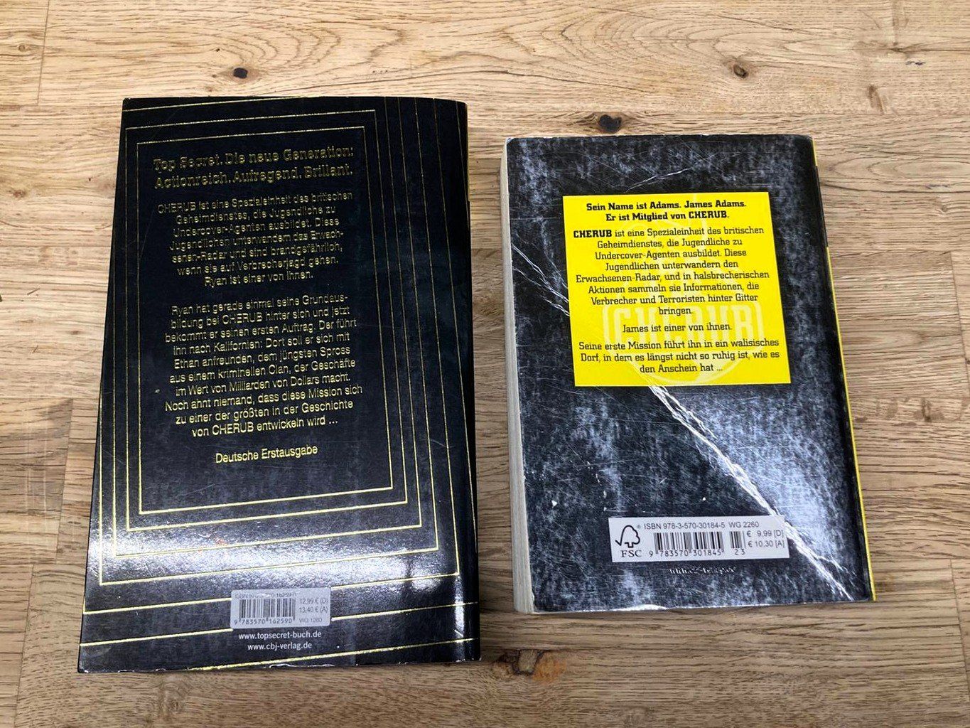 Top Secret: Robert Muchamore, Jugendbuch Reihe, Top Zustand! (Gebraucht ...