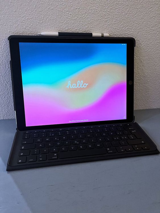 iPad Pro, 12.9 Zoll (2. Gen.) mit Apple Pencil & Logitech (Gebraucht ...