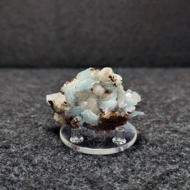 ANGEBOT! Wappen aus BLAUEM BARIT auf WEISSEM BARIT, elegant | Kaufen ...