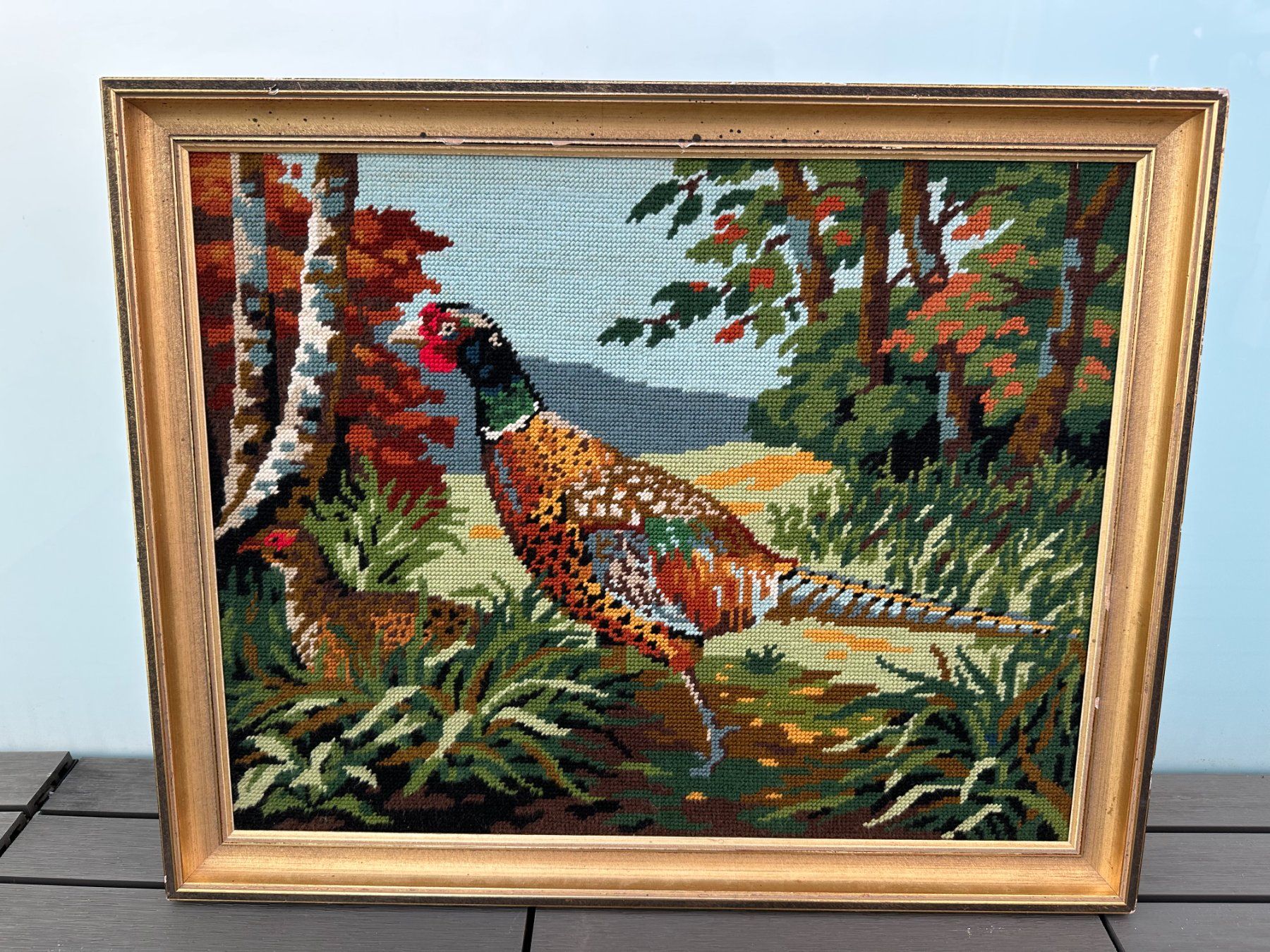 Broderie de faisan (Gebraucht) in Châtillon FR für CHF 5 – nur Abholung ...