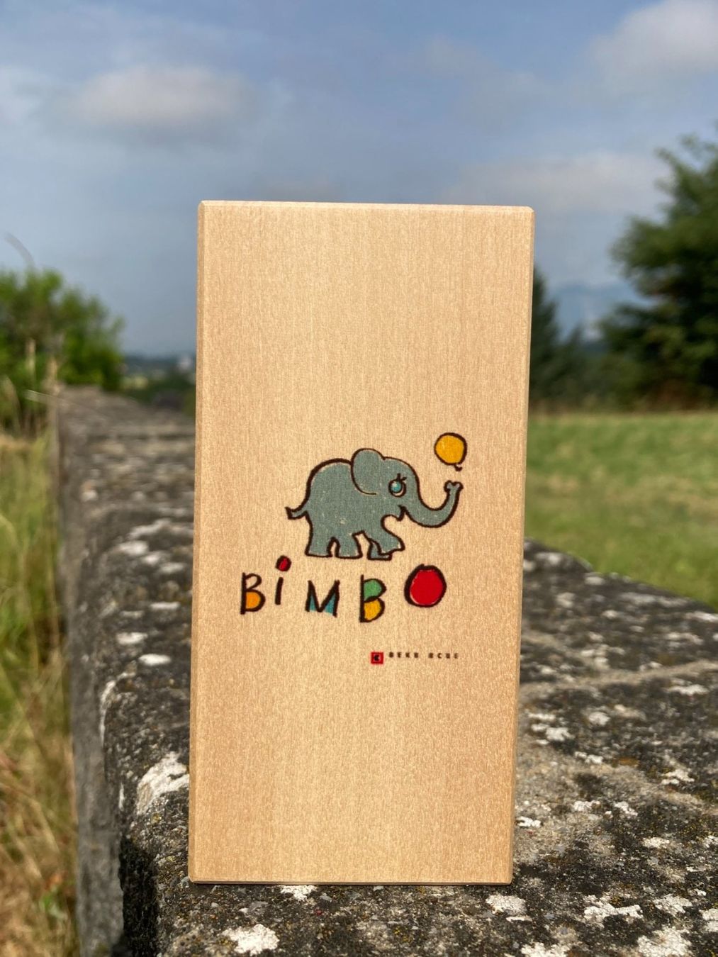 BEKB HOLZ-KÄSSELI MIT SCHLÜSSEL Tiermotive zum Ausmalen (Neu (gemäss Beschreibung)) in Subingen ...