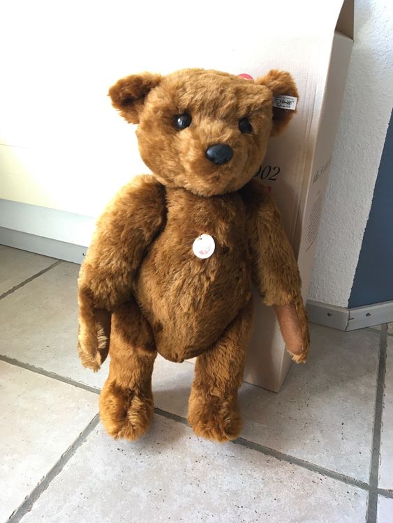 Steiff Bär Teddy Bär 55 PB 1902 (Neu und originalverpackt) in ...