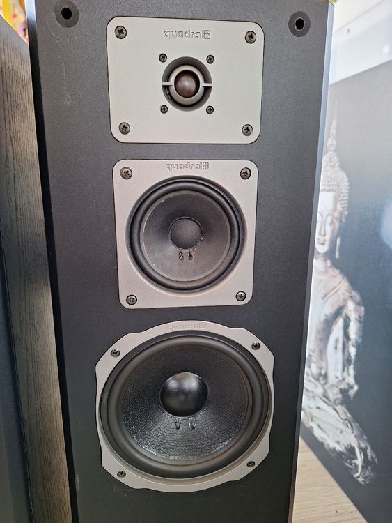 Boxen Quadral Odin MK II (Gebraucht) in Niederbipp für CHF 60 – nur Abholung auf Ricardo kaufen