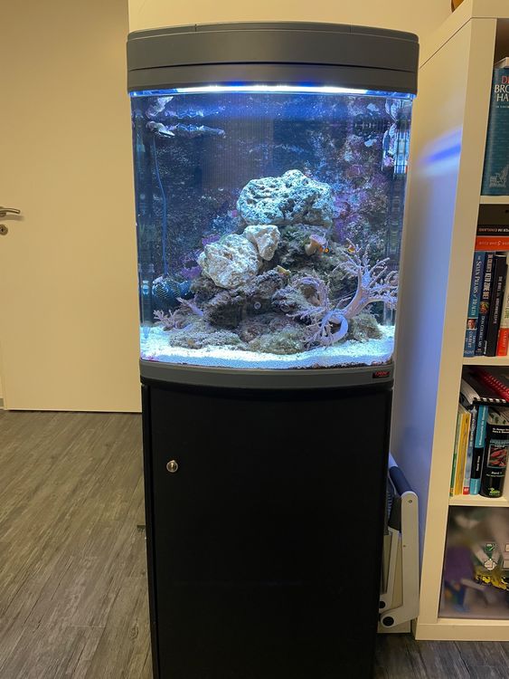 Meerwasser-Aquarium inkl. Zubehör und Unterschrank (Gebraucht) in Rüfenach AG für CHF 499 – nur ...