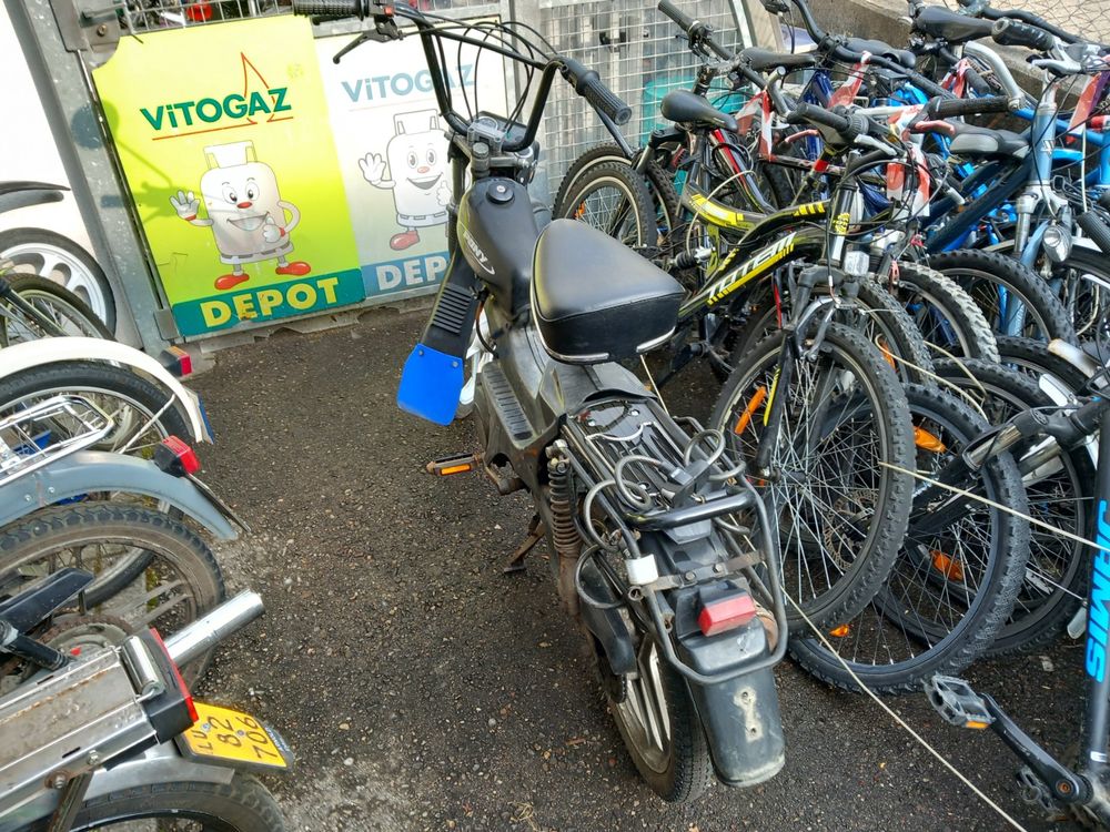 Pony cross mit Ausweis | Kaufen auf Ricardo