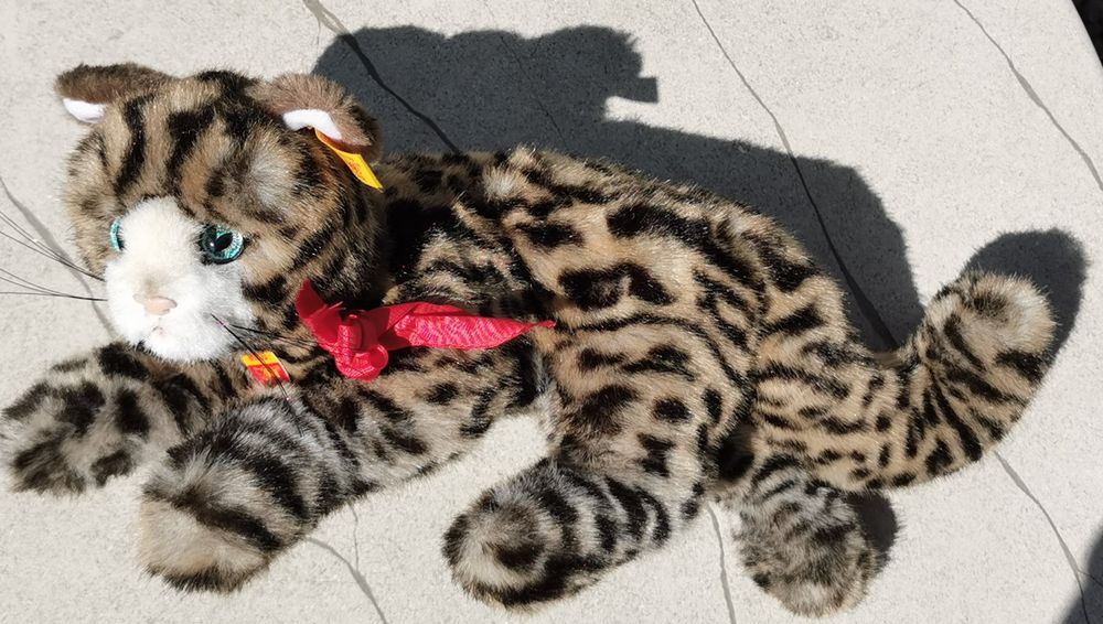 Steiff Kuscheltier Katze Minou 074806 (NEU + UNBESPIELT) | Kaufen auf Ricardo