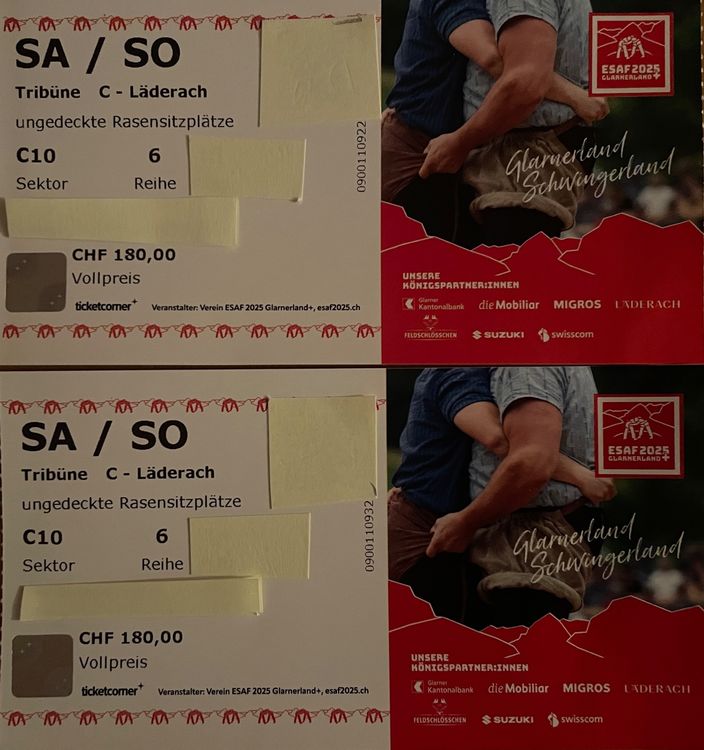 ⚠️2 Top Rasensitzplätze ESAF Samstag und Sonntag C10 Reihe 6 (Gebraucht ...