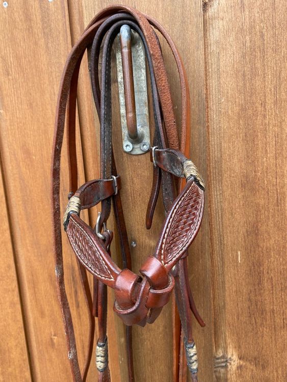 Pferde Zaum | Kaufen auf Ricardo