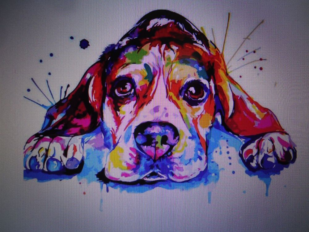 neu! Malen nach Zahlen, 40 x 50 cm, alles dabei + Rahmen (Neu (gemäss Beschreibung)) in Schüpfen ...