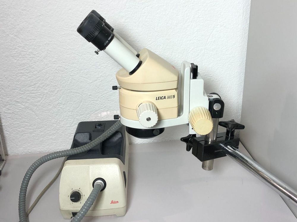 LEICA MS5 Microscope (Gebraucht) in Bassecourt für CHF 490 – mit ...