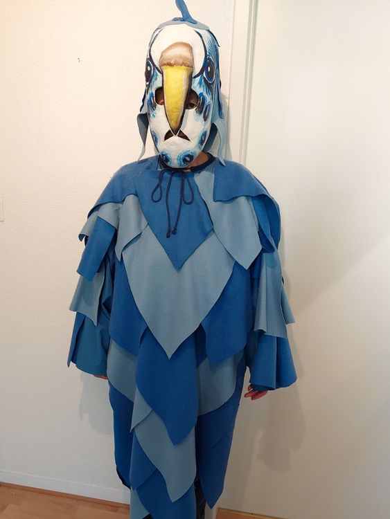 Fasnachtskostüm Wällesittig mit Larve (Gebraucht) in Reinach BL für CHF 59 – mit Lieferung auf ...