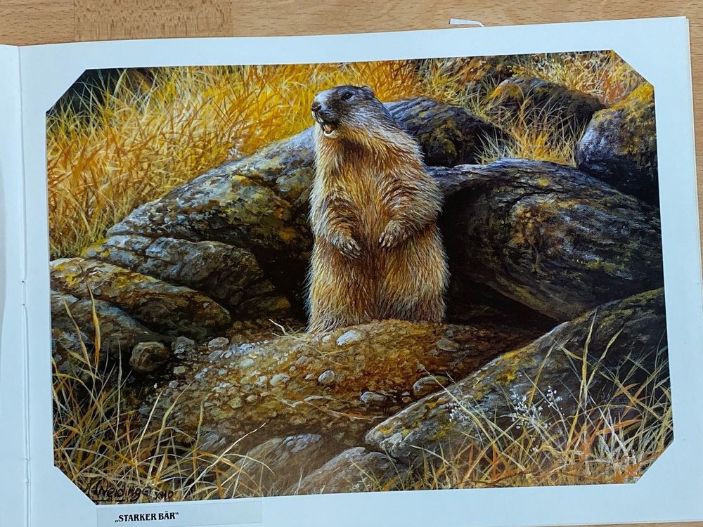 Hubert Weidinger (1951) Mappe mit 12 imposanten Bildern (Gebraucht) in ...