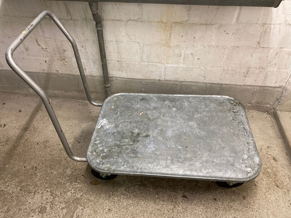 PLATTFORMWAGEN TRANSPORTWAGEN LASTENWAGEN PAKET WAGEN WÄGELI (Gebraucht ...