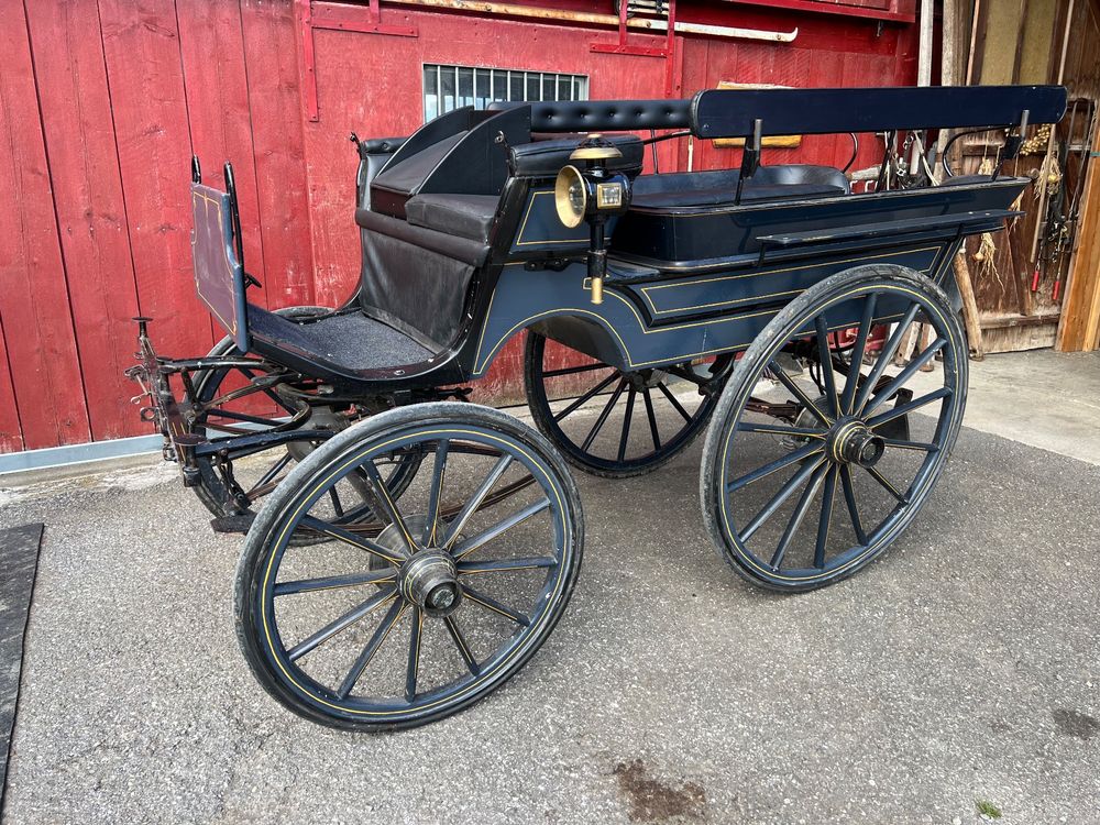 Pferdekutsche Wagonette (Gebraucht) in Bad Ragaz für CHF 300 – nur ...
