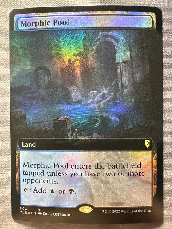 Morphic Pool FOIL Variant 603 Baldurs Gate | Kaufen auf Ricardo