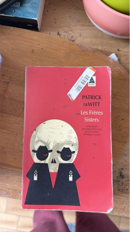 Les Frères Sisters, par Patrick DeWitt - Roman Babel (D'occasion) à ...