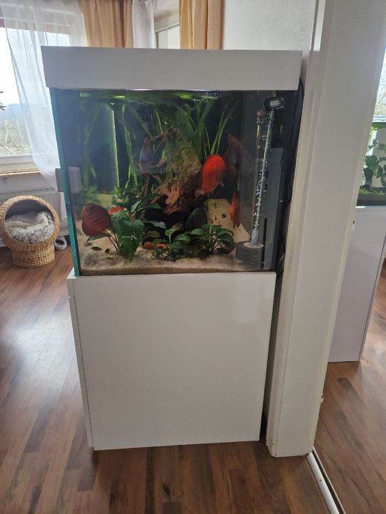 Meerwasser Aquarium Weissglas | Kaufen auf Ricardo