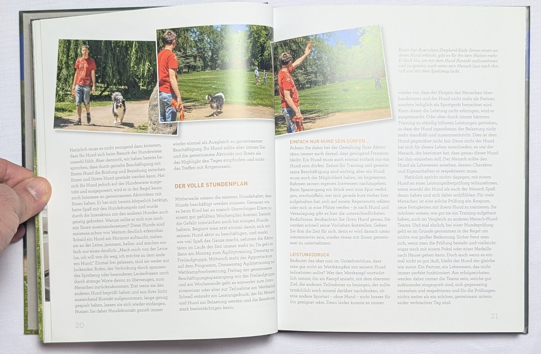 Hunde beschäftigen mit Martin Rütter - Andrea Buisman (Neu (gemäss ...