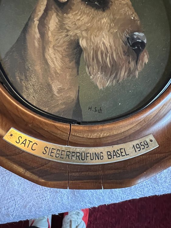 Gemälde mit Signatur H.Sch (Gebraucht) in Glattfelden für CHF 3 – nur Abholung auf Ricardo kaufen