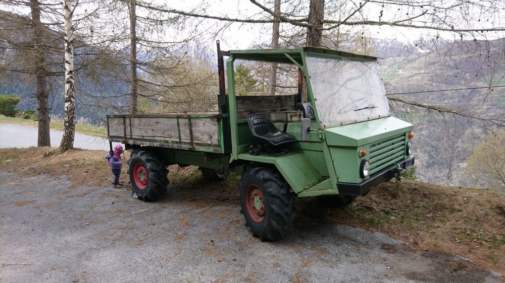 Schilter 2500 Dreiseitenkipper (Defekt) in Staldenried für CHF 4000 ...