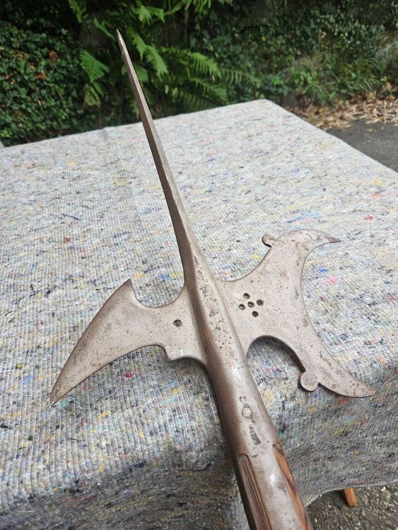 Hellebarde Militär (Gebraucht) in grüningen für CHF 66 – nur Abholung ...